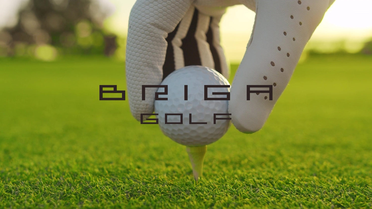 Ad Gallery – BRIGAGOLF